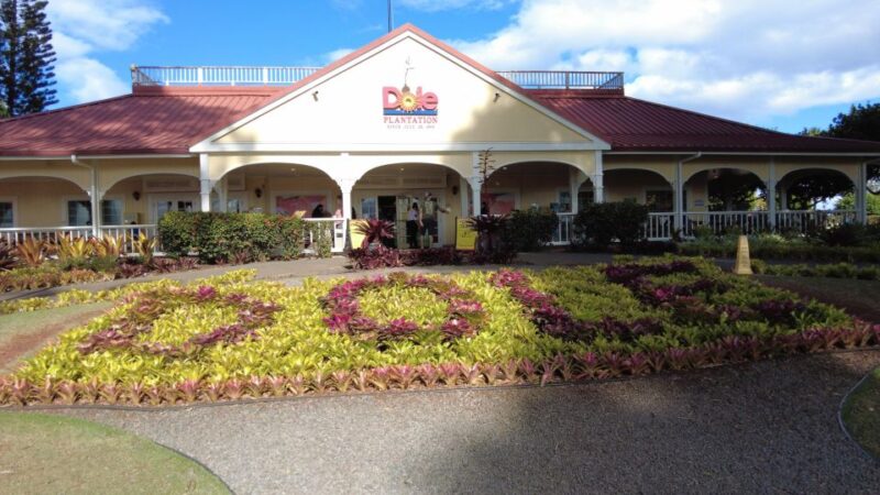 Best of Oahu in One Day - Why This Tour Works: Focused on Value and Authentic Experiences