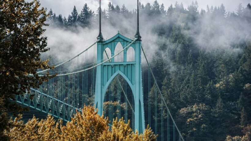 Best of Portland: Private Walking Tour with a Local - What Reviewers Say
