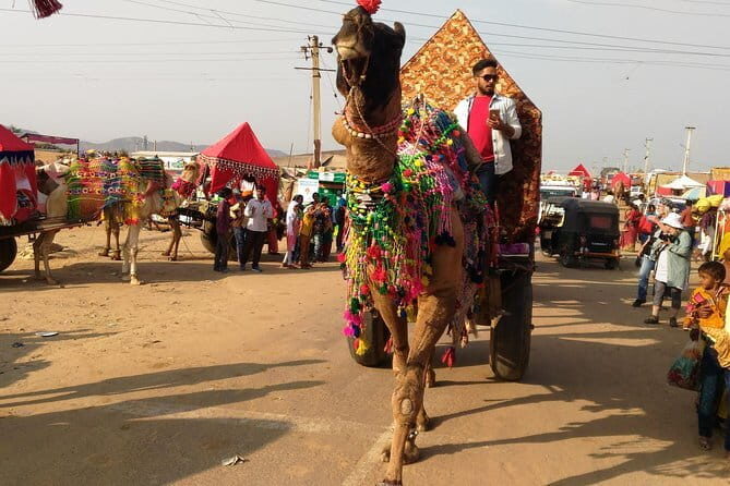 Best of Rajasthan India -Private Tour - Transitioning to Jaipur: The Pink City