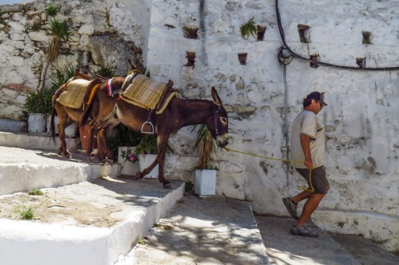 Best of Rhodes and Lindos Private Tour - Small Group - Final Thoughts on Value and Experience