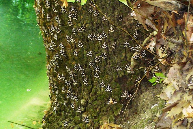 BEST OF RHODES ISLAND - PRIVATE TOUR - SHORE EXCURSION - FULL DAY - 4 People - Expertise and Local Knowledge