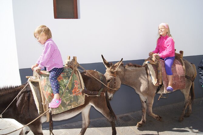 Best of Rhodes Tour including Lindos and Medieval City - FAQ