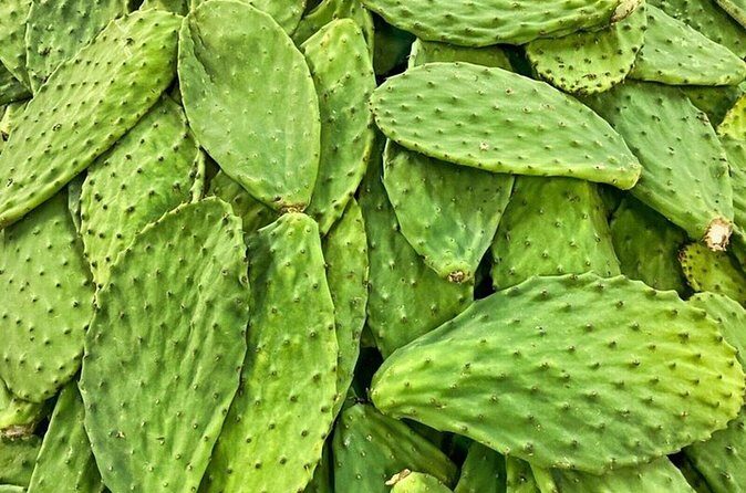Best of Roma Sur Food Crawl in Mexico City - What’s Included & What’s Not