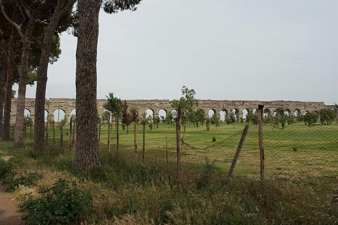 Best of Rome & Vatican Skip the Line Private Tour - Important Notes