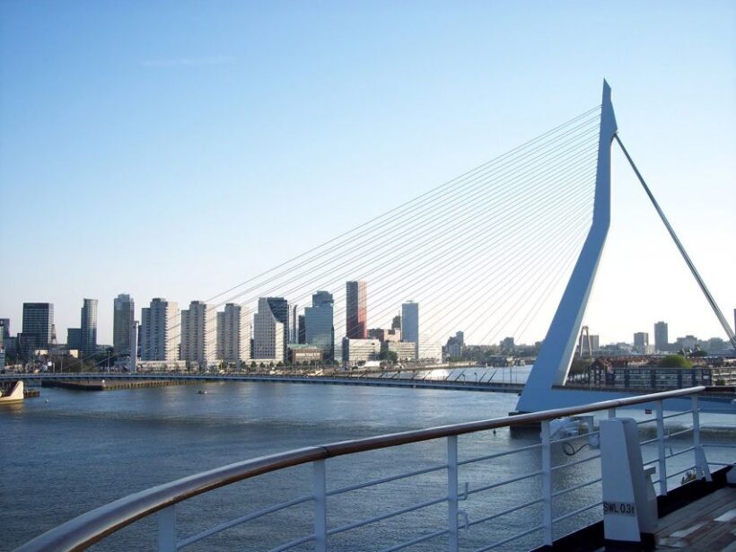 Best of Rotterdam: small-group walking tour - Exploring Rotterdam in a Nutshell
