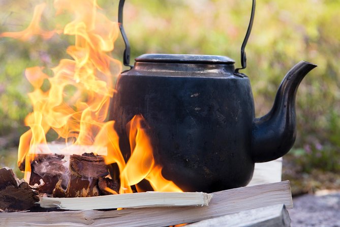 Best of Rovaniemi - Hidden gems and polaroid photos - What to Expect from Each Part of the Tour