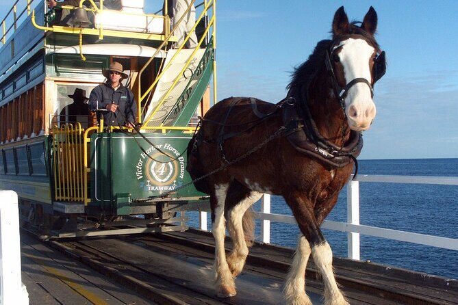 Best of SA Hahndorf & Victor Harbor Full-Day Tour - Key Points