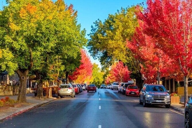 Best of SA Hahndorf & Victor Harbor Full-Day Tour - FAQ