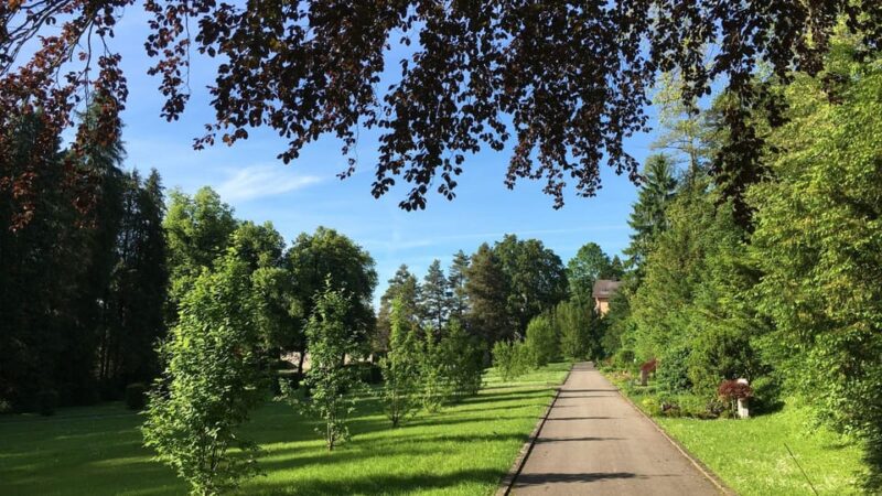 Best of Sankt Gallen: Private Walking Tour With a Local - Highlights and Experience