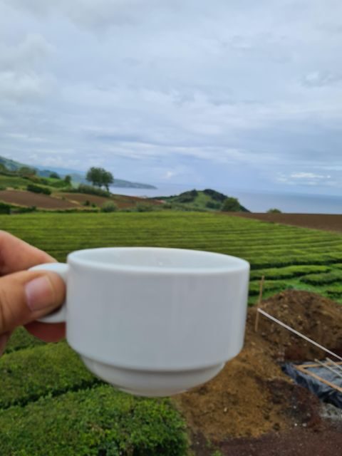 Best of São Miguel 2 Days Private Tour - Authentic Experiences and Real Traveler Feedback