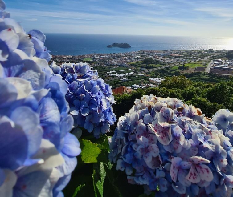 Best of São Miguel 2 Days Private Tour - Who Will Love This Tour?