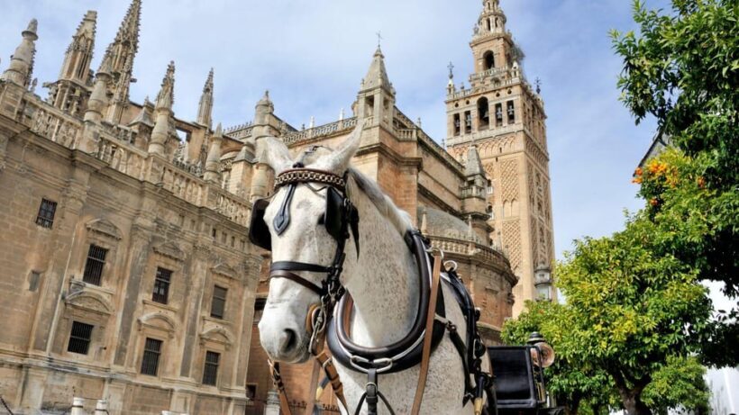 Best of Seville: Private Walking Tour with Local - The Sum Up