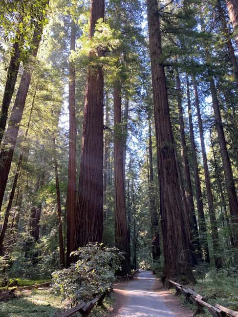 Best of SF: Wine Country, Redwoods, and Hop-on Hop-off Tour - FAQ