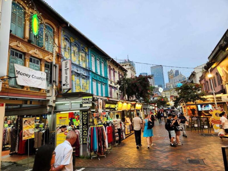 Best of Singapore - Full Day Private Tour - What Makes This Tour a Good Choice?
