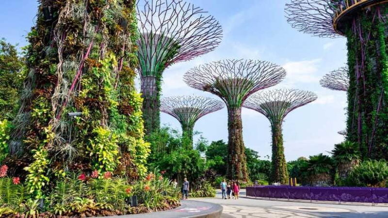 Best of Singapore: Private Walking Tour with a Local - Final Thoughts: Is This Tour Right for You?
