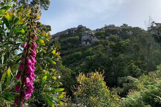 Best of Sintra & Cascais With Locals - Booking Options and Cancellation Policy