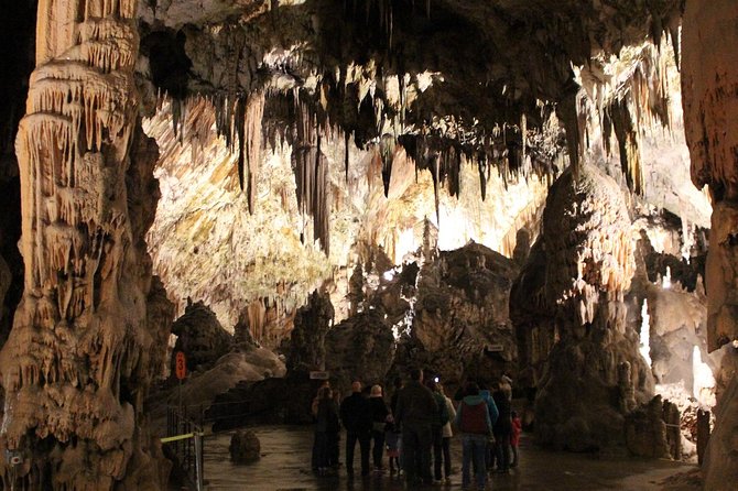 Best of SLOVENIA - Bled + Postojna + Ljubljana - Day Tour From Zagreb - Bled Lake and Surroundings