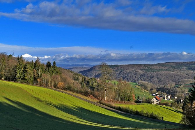 Best of the Black Forest and Rhinefalls from Zurich - Key Points