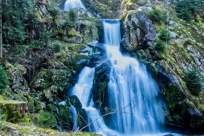 Best of the Black Forest and Rhinefalls from Zurich - Practical Tips for the Tour