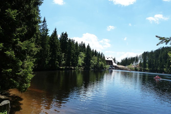 Best of the Black Forest and Rhinefalls from Zurich - Who Is This Tour Best For?