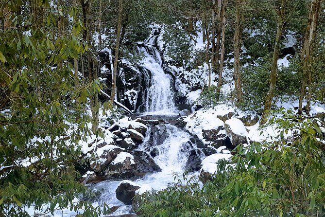 Best of the Smokies Custom Private Tour - Who Should Consider This Tour?