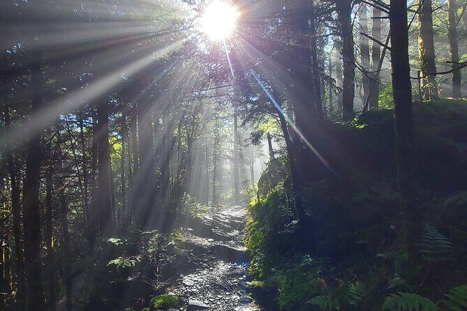 Best of the Smokies Custom Private Tour - FAQ