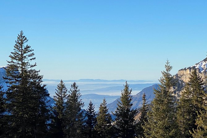 Best of the Uri Alps: A fjord-like lake, glorious peaks and sustainable tourism - What to Expect from the Best of the Uri Alps Tour