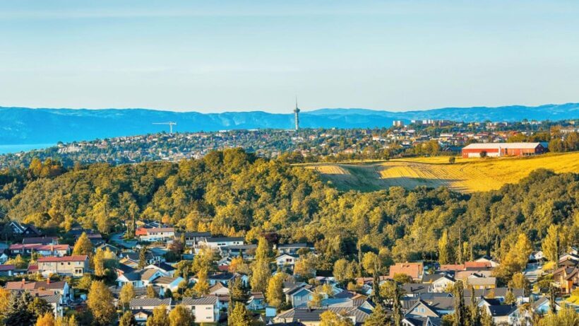 Best of Trondheim: Private Walking Tour with a Local - The Experience Provider: Humrahe