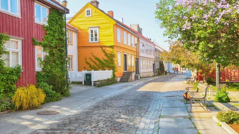 Best of Trondheim: Private Walking Tour with a Local - Final Thoughts
