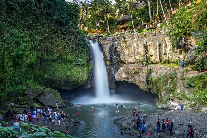 Best of Ubud 1-Day Private Tour - How the Experience Comes to Life Based on Reviews