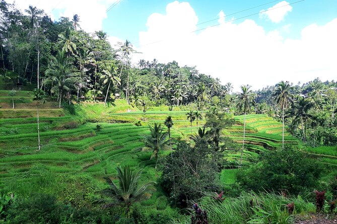 Best of Ubud - All Inclusive - Practical Details: What to Expect
