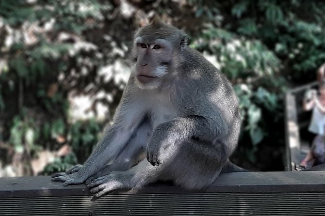 Best of Ubud - All Inclusive - What Our Reviewers Say