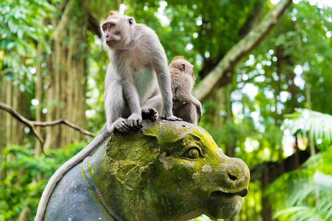 Best of Ubud Attractions: Private All-Inclusive Tour - FAQ