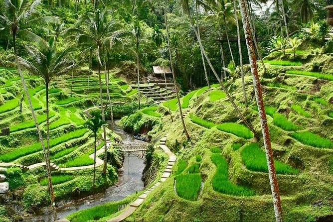 Best of Ubud Full Day Private Guided Tour - The Sum Up