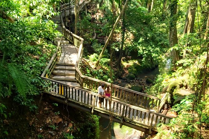 Best of Ubud - Kintamani Volcano View - Private Tour - A Full Breakdown of the Itinerary