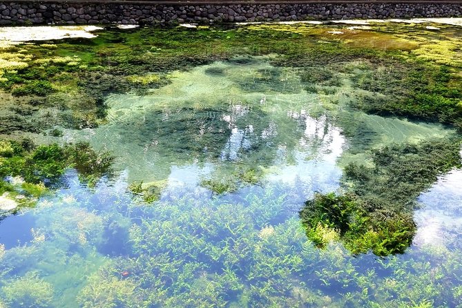 Best of Ubud - Kintamani Volcano View - Private Tour - The Sum Up