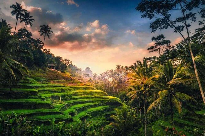Best of Ubud: Nature, Culture and Temples Tour - A Deep Dive into the Day in Ubud