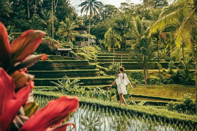 Best of Ubud: Private All-Inclusive Tour with Jungle Swing - The Itinerary in Detail: What You’ll See and Do
