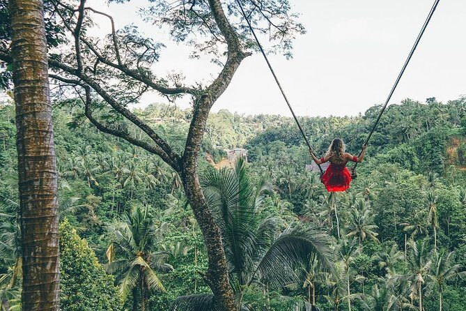 Best of Ubud: Private All-Inclusive Tour with Jungle Swing - Authentic Experiences and Real Feedback