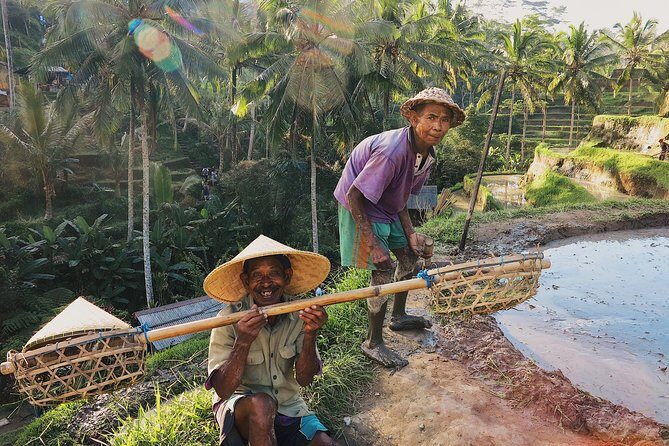 Best of Ubud: Private All-Inclusive Tour with Jungle Swing - Who Should Book This Tour?