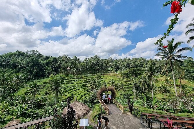 Best of Ubud Private Tour with Jungle Swing Experience - The Experience of the Jungle Swing and Cultural Attractions