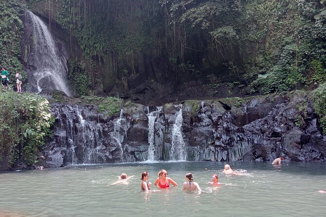 Best of Ubud Scenic Tamansari Waterfall Private Guided Tour - Practical Considerations