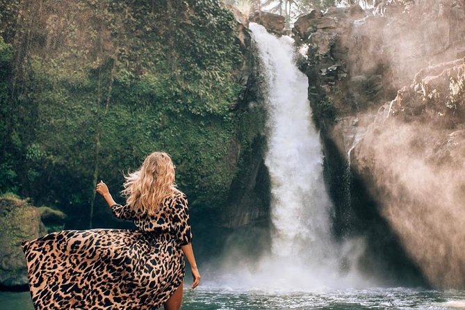 Best of Ubud Tour with Jungle Swing Private and All Inclusive - In The Sum Up