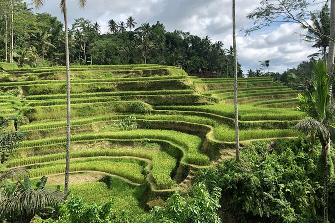 Best of Ubud Village Private Tour with Jungle Swing All Inclusive - Who Will Benefit Most from This Tour?