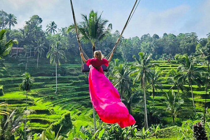 Best of Ubud with Jungle Swing Experience - What This Tour Means for You