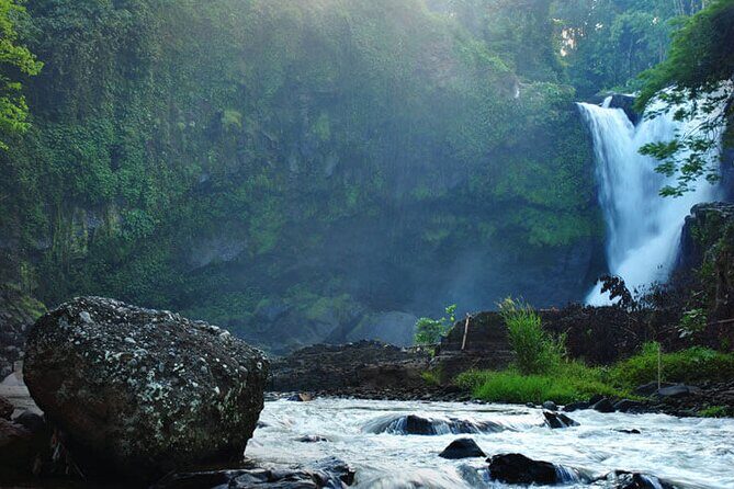 Best of Ubud with Jungle Swing Tour - Sacred Monkey Forest Sanctuary: Close Encounters with Nature