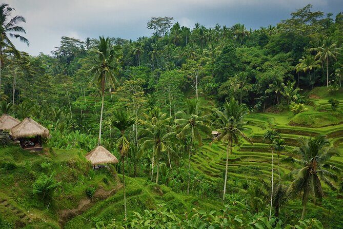 Best of Ubud with Jungle Swing Tour - Additional Stops: Cultural and Local Flavors