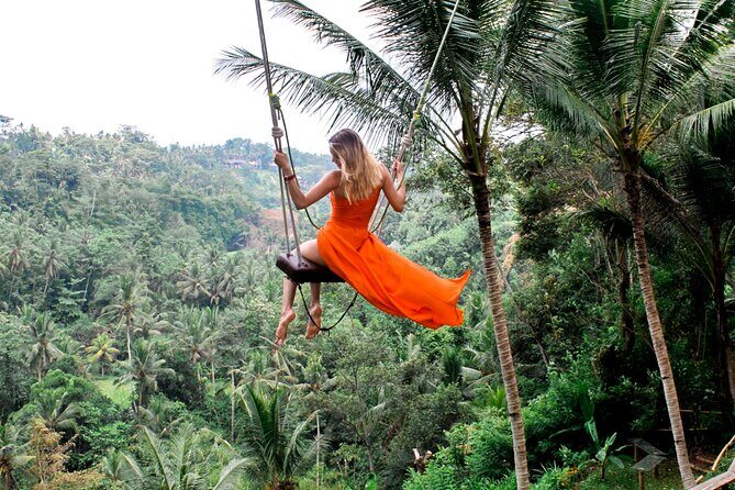 Best of Ubud with Tanah Lot Temple Private Tour - Who Will Love This Tour?