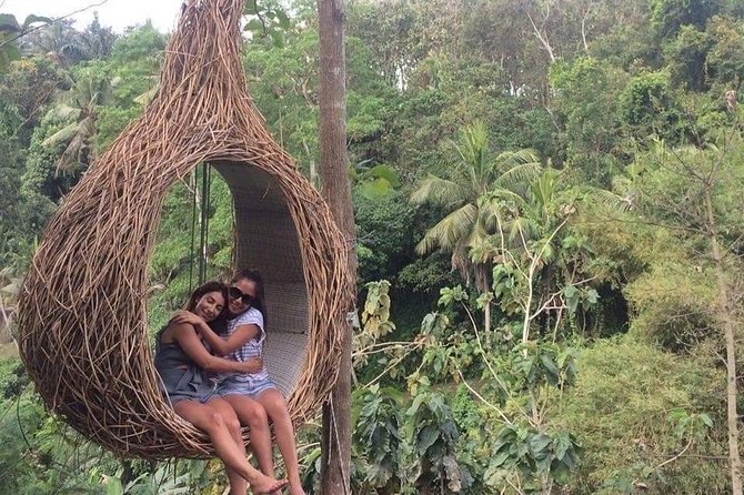 Best of Ubud With Ulu Petanu Waterfall Private Guided Tour - FAQs