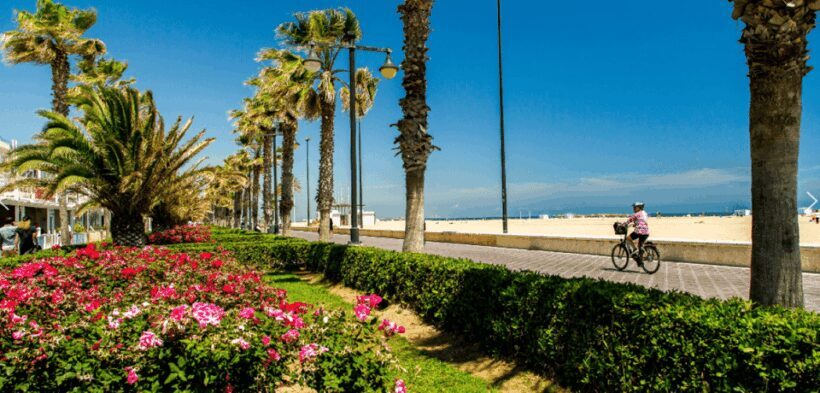 Best of Valencia: Highlights with Private Transport and Top - Introduction: What We Think About the Tour